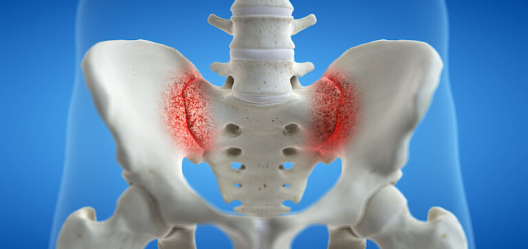 Bacino: anatomia e funzioni - Project inVictus