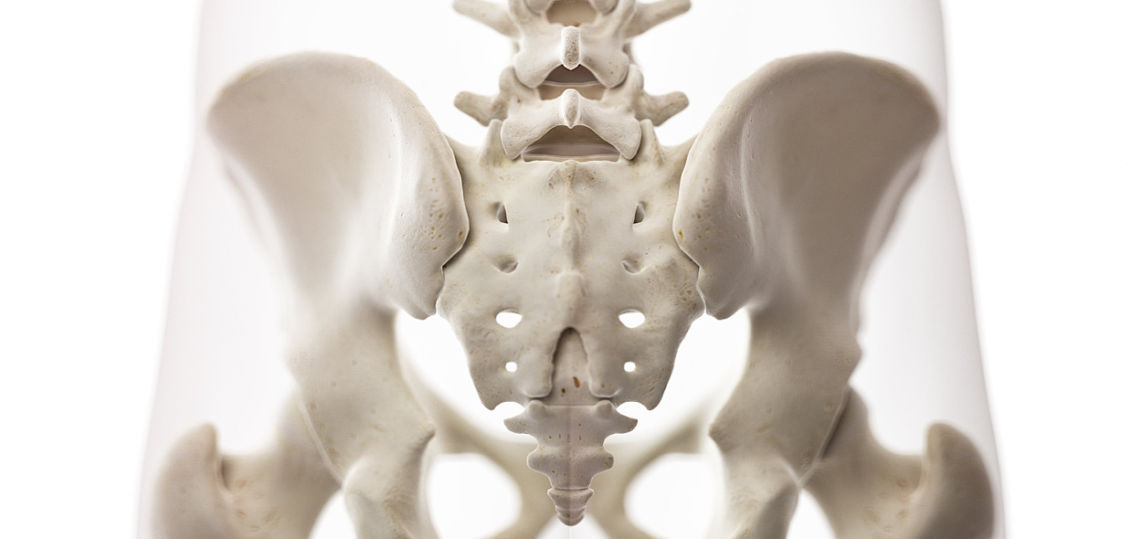 Colonna vertebrale: anatomia e funzioni - Project inVictus