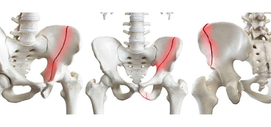 Bacino: anatomia e funzioni | Project inVictus