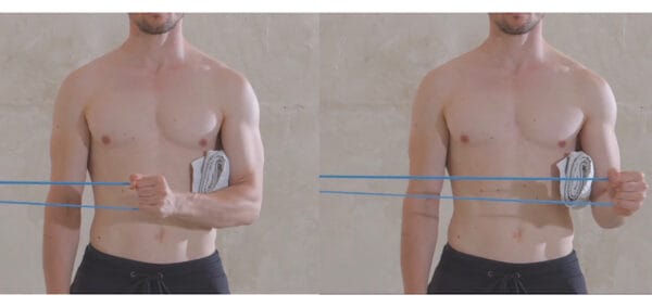 Cuffia dei rotatori: anatomia, funzioni ed esercizi - Project inVictus