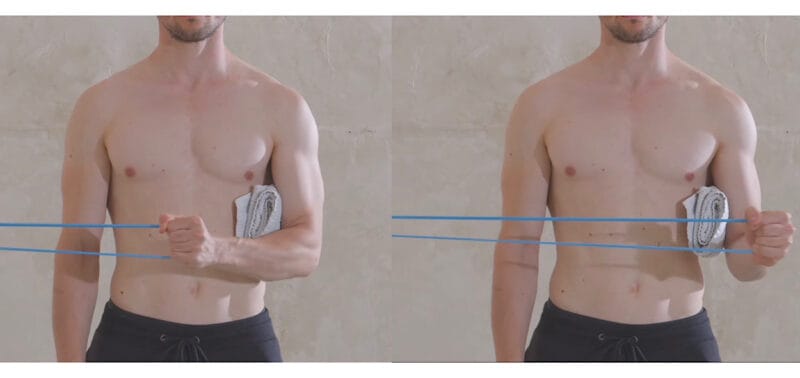 Cuffia dei rotatori: anatomia, funzioni ed esercizi - Project inVictus