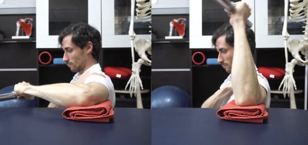 Cuffia dei rotatori: anatomia, funzioni ed esercizi - Project inVictus