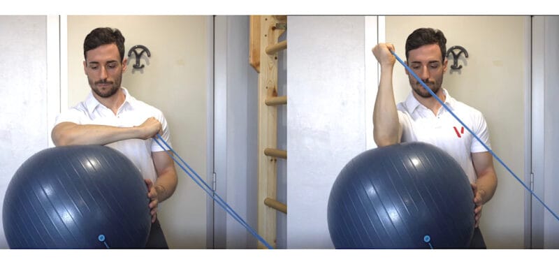 Cuffia dei rotatori: anatomia, funzioni ed esercizi - Project inVictus