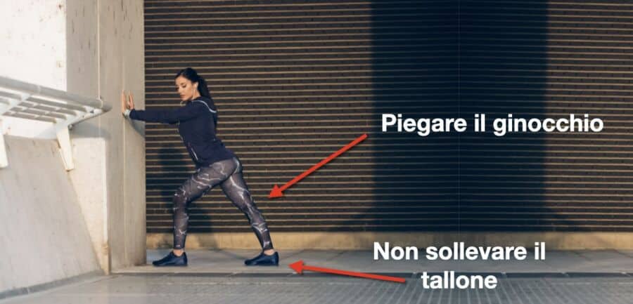 Muscolo soleo: anatomia, funzione, esercizi - Project inVictus