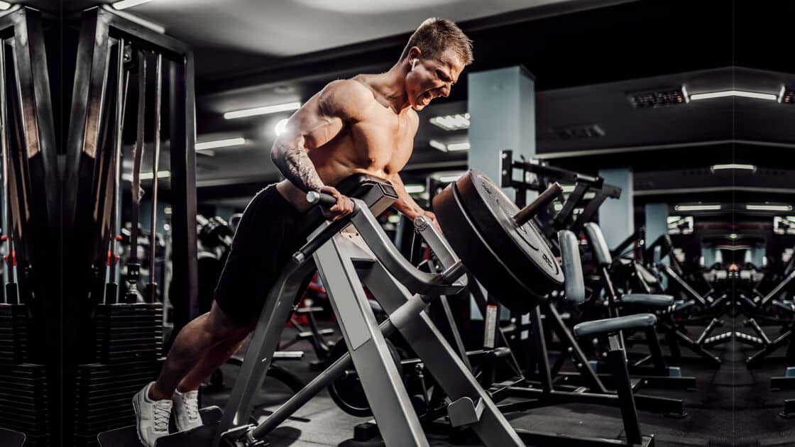 Scheda palestra dimagrimento e definizione - Project inVictus