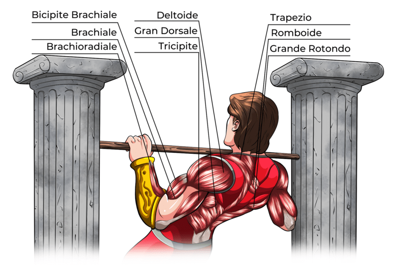 Trazioni orizzontali (o Australian pull up): esecuzione corretta ...