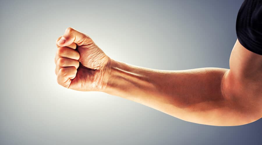 Muscoli dell’avambraccio: anatomia e funzioni - Project inVictus