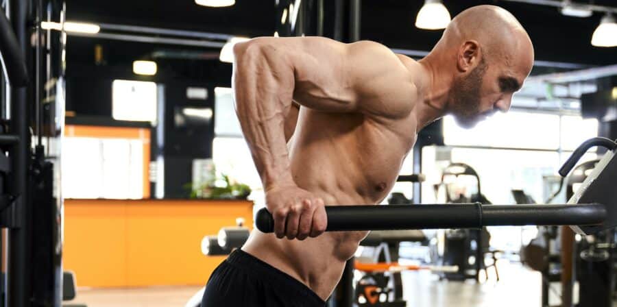 Ipertrofia muscolare: la guida completa sull'ipertrofia - Project inVictus