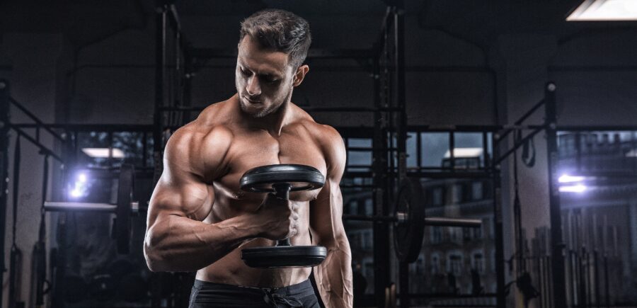 Ipertrofia muscolare: la guida completa sull'ipertrofia - Project inVictus