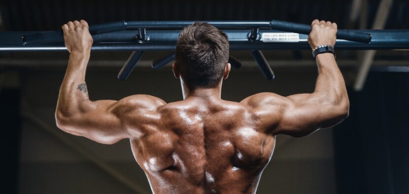 Ipertrofia muscolare: la guida completa sull'ipertrofia - Project inVictus