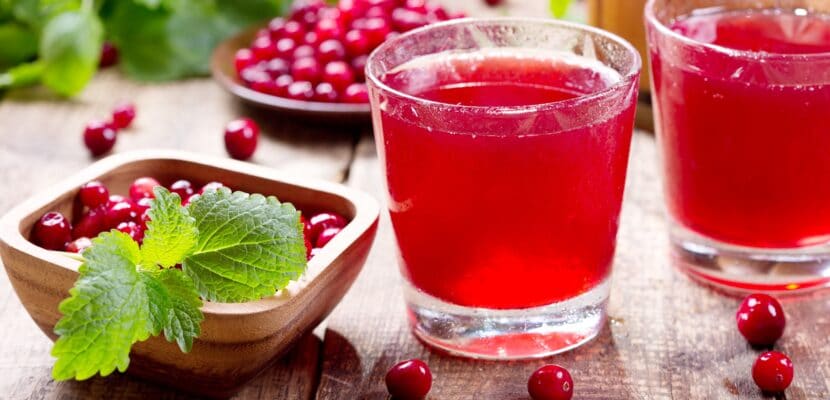 Mirtillo rosso: proprietà e benefici - Project inVictus