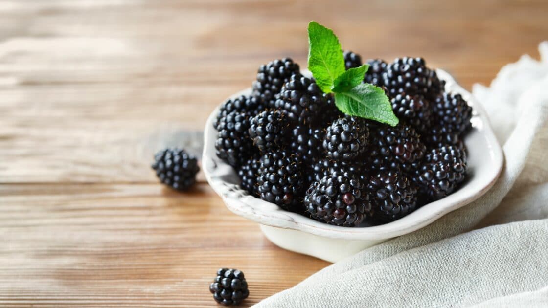 More: mille proprietà e benefici - Project inVictus