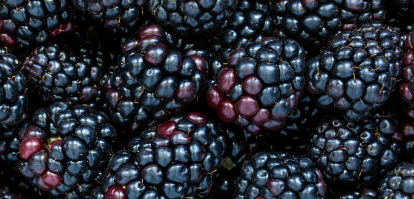 More: mille proprietà e benefici - Project inVictus