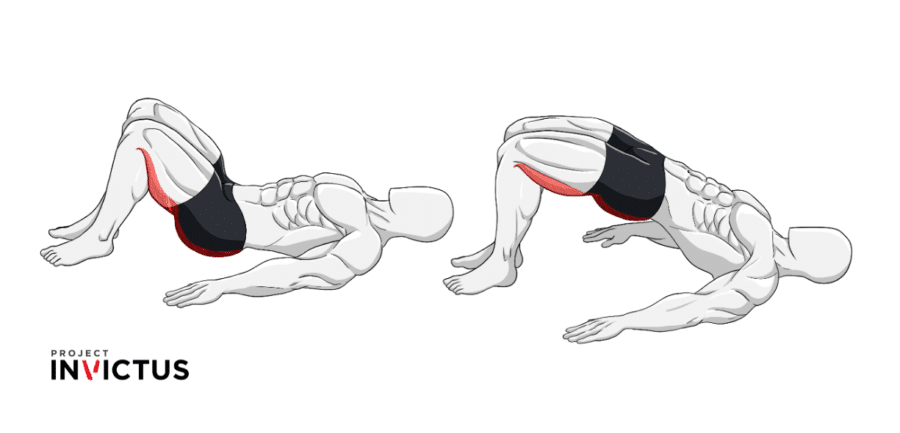 Ponte per i glutei: la guida completa per glutei sodi - Project inVictus