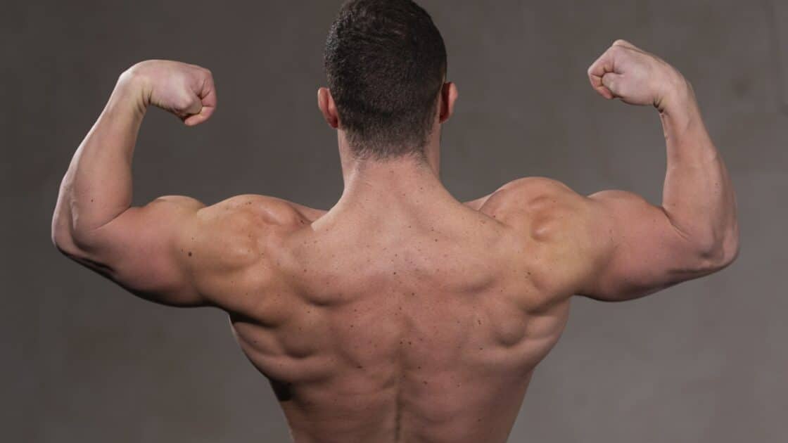 Mini cut in bulk per non ingrassare - Project inVictus