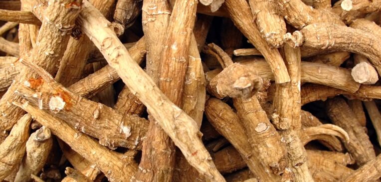 Panax ginseng: a cosa serve e quando assumerlo? - Project inVictus