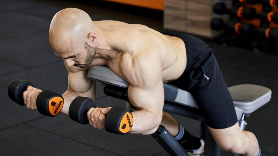 Spider curl: esecuzione corretta - Project inVictus