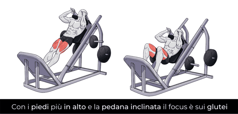 Hack Squat: esecuzione per allenare le gambe - Project inVictus