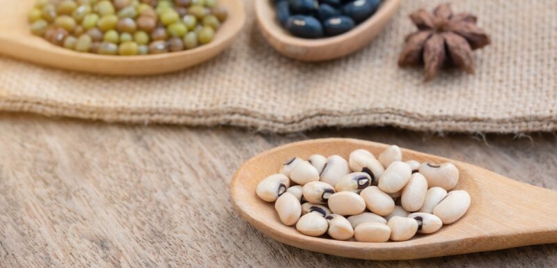 Fitoestrogeni: a cosa servono, alimenti, controindicazioni - Project ...
