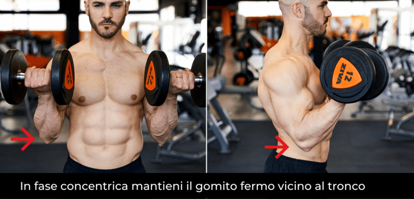 Curl manubri: esecuzione - Project inVictus