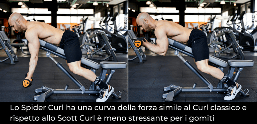 Curl manubri: esecuzione - Project inVictus