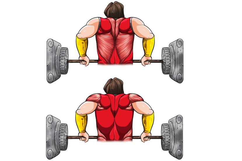 Rematore con bilanciere: guida completa - Project inVictus