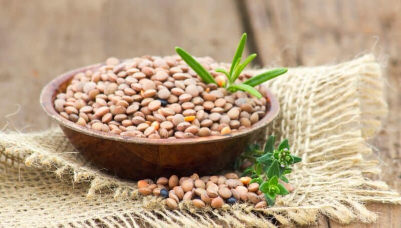 Muscolo grande rotondo: anatomia e funzioni - Project inVictus