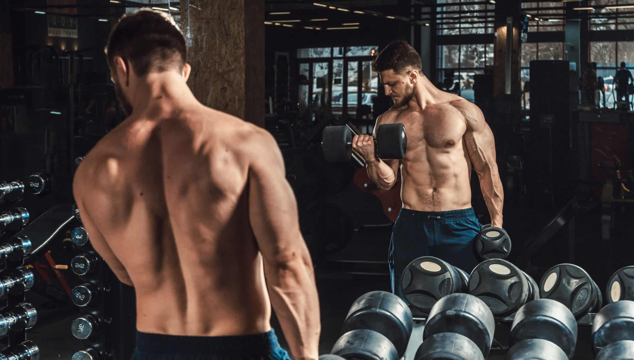 Risultati in palestra: dopo quanto si vedono? - Project inVictus