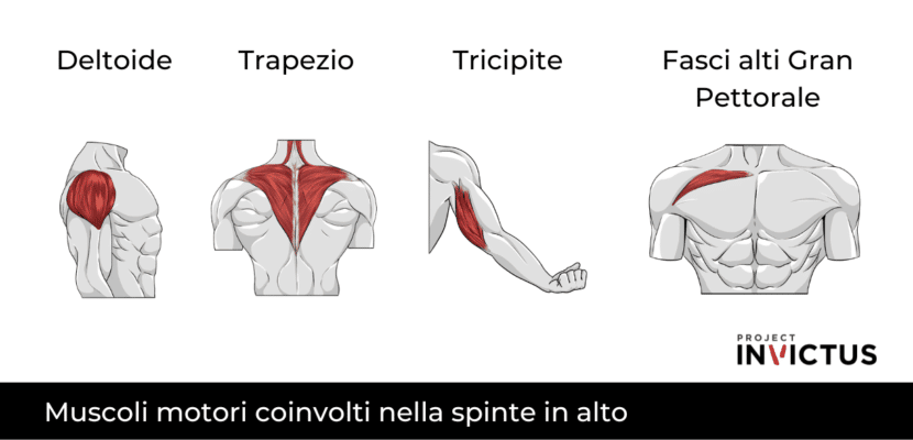 Spinte in alto con bilanciere: esecuzione corretta - Project inVictus