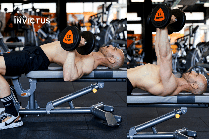 I MIGLIORI esercizi per i pettorali con manubri - Project inVictus