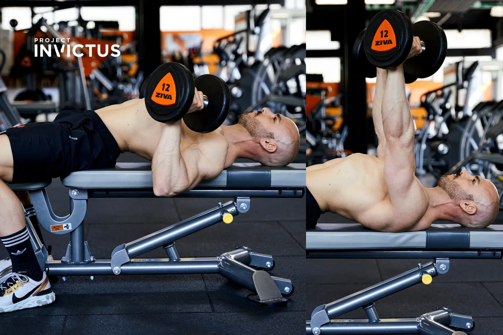 I MIGLIORI esercizi per i pettorali con manubri - Project inVictus