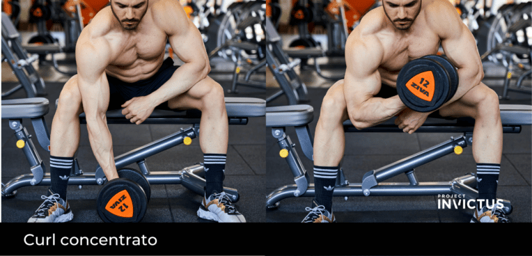 Curl concentrato: esecuzione, errori, benefici - Project inVictus