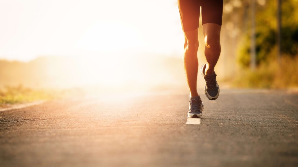 Muscolo gracile: anatomia e funzione - Project inVictus