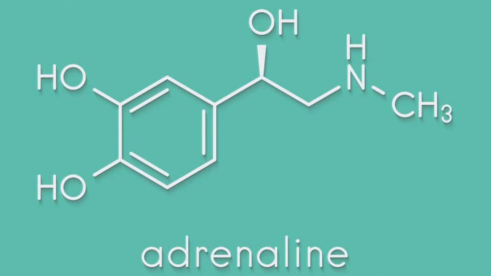 Adrenalina: cos’è, effetti, farmaco - Project inVictus