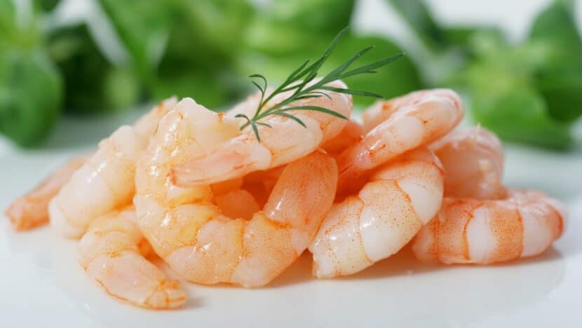 Muscolo grande rotondo: anatomia e funzioni - Project inVictus