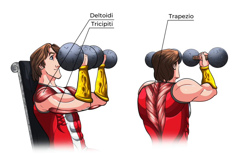 Arnold press: esecuzione, muscoli coinvolti, scheda - Project inVictus