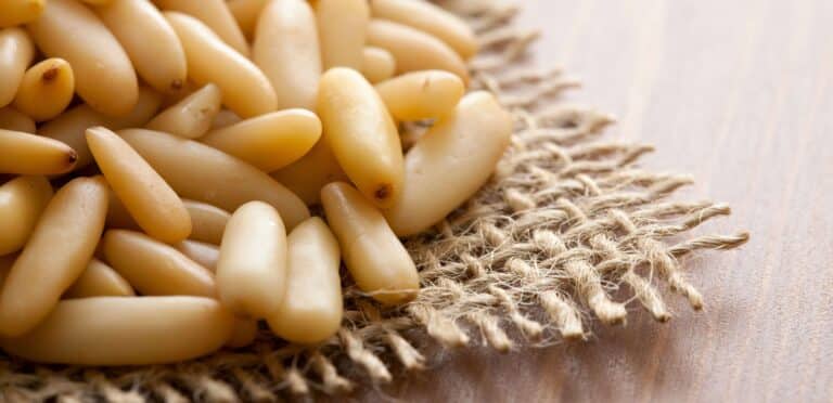 Pinoli: tutte le proprietà e valori nutrizionali - Project inVictus