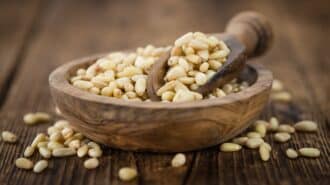 Pinoli: tutte le proprietà e valori nutrizionali - Project inVictus