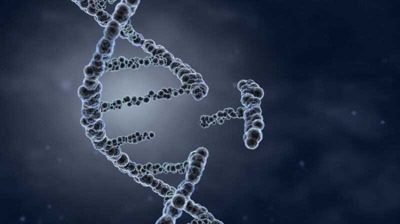 Via dei pentoso fosfati - Project inVictus