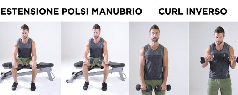 Avambracci: anatomia ed esercizi completi - Project inVictus