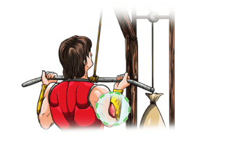 Lat Machine presa inversa: esecuzione e rischi articolari | Project ...