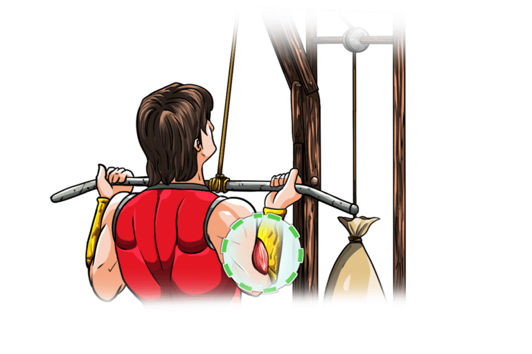 Lat Machine presa inversa: esecuzione e rischi articolari | Project ...