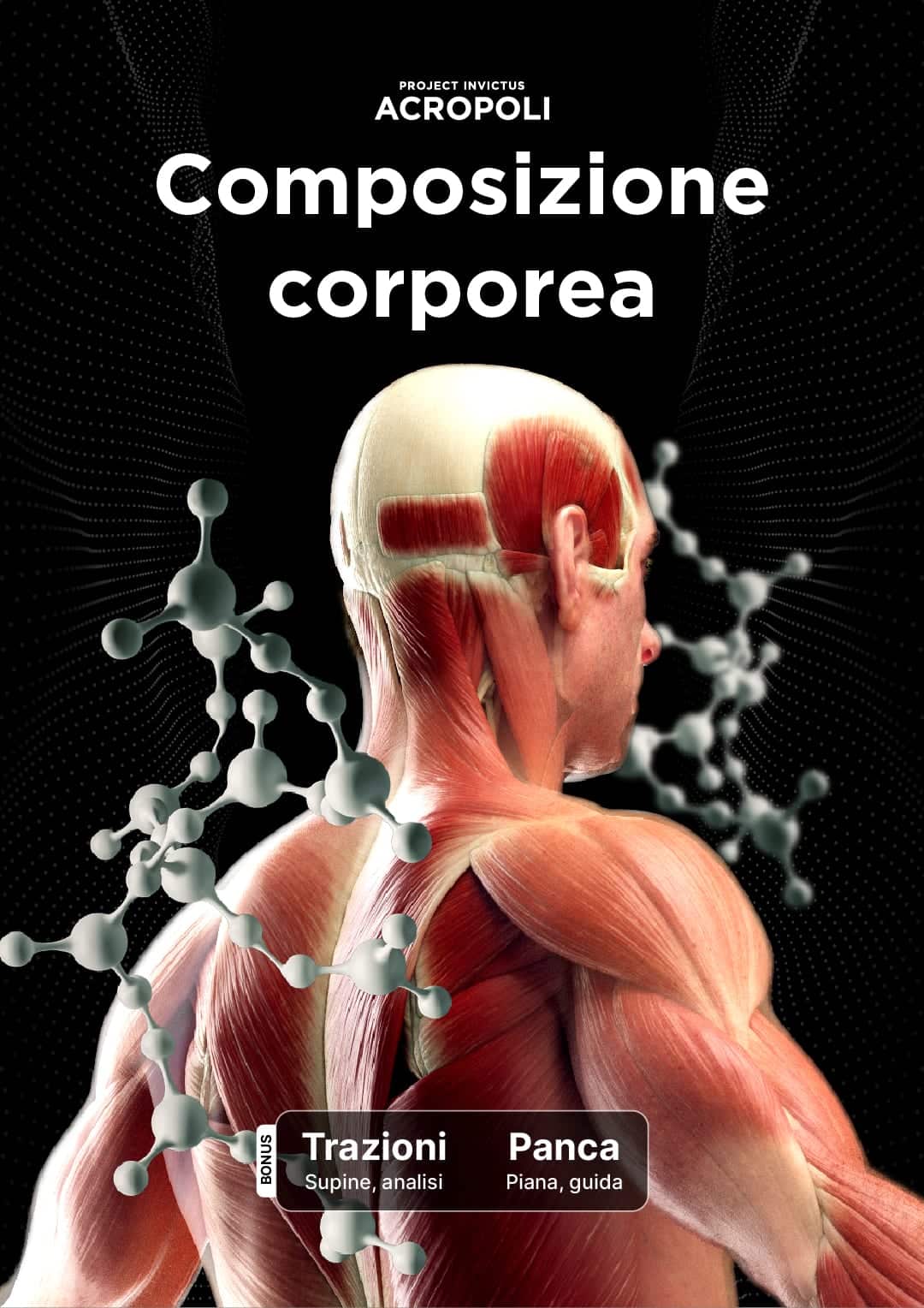 Composizione corporea - Project inVictus