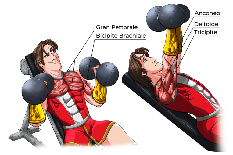Panca inclinata: guida completa