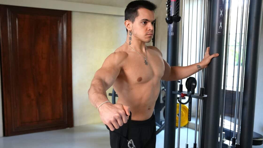 Stacchi rumeni: la guida completa - Project inVictus