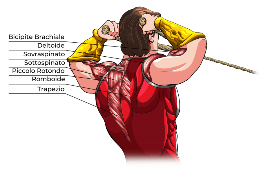 Face pull per le spalle:come si fa e cosa allena - Project inVictus