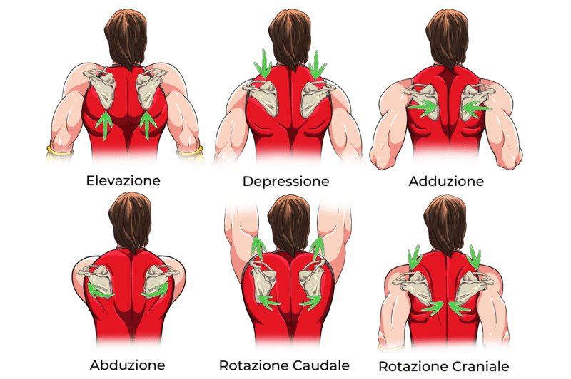 Scapole addotte e depresse: come fare - Project inVictus