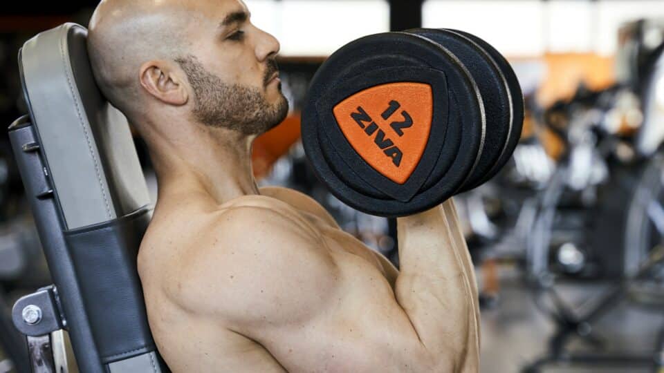 Bodybuilding: la guida completa - Project inVictus