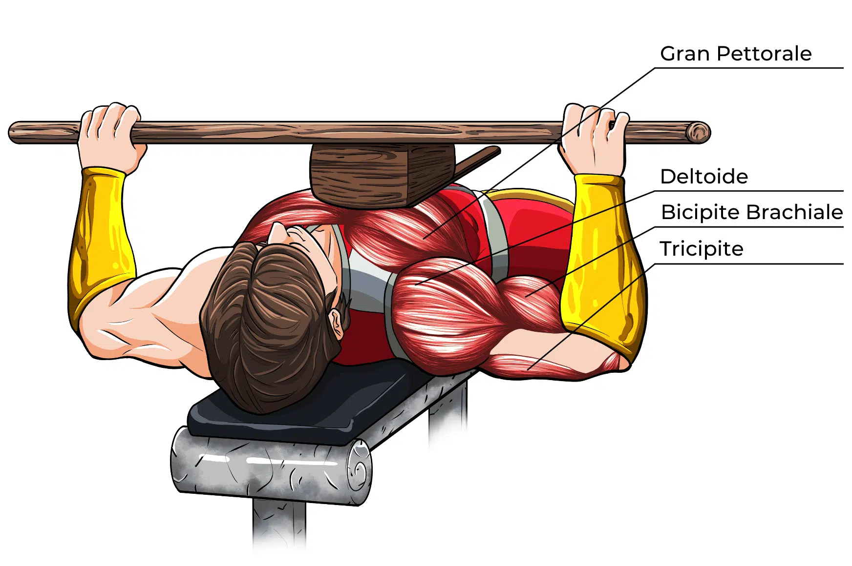 Board press: cos'è, come si fa e cosa allena - Project inVictus